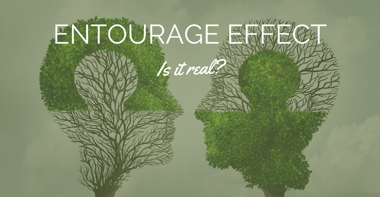 Is The Entourage Effect Real? Explained... – Kure NZ - Wellness & Skincare