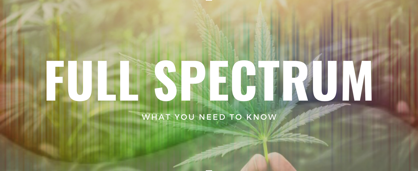 Full Spectrum Extract from Hemp: What You Need To Know – Kure NZ ...
