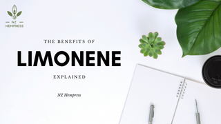Hemp Terpenes Explained: Benefits of Limonene – Kure NZ