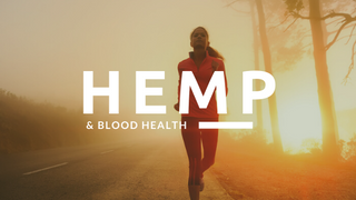 How Hemp Works for Blood Health – Kure NZ