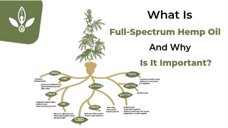 What is Full Spectrum Hemp Oil & What Does It Do – Kure NZ