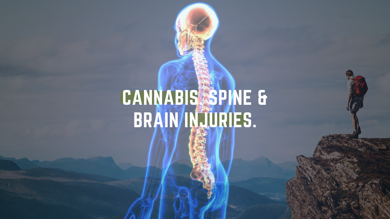 Best CBD Oil for Spinal Cord Injury, Brain & Concussion Syndromes – Kure NZ
